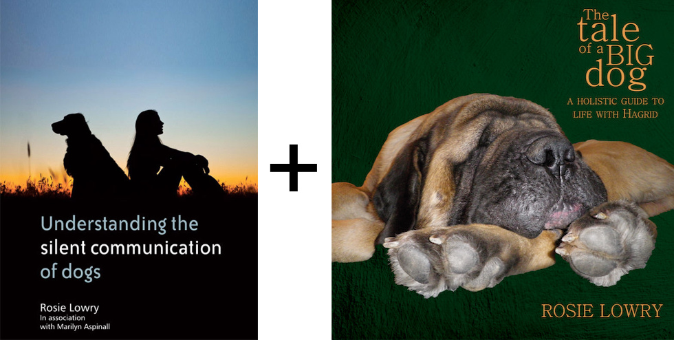 Book bundle: Understanding The Silent Communication of Dogs and The ...